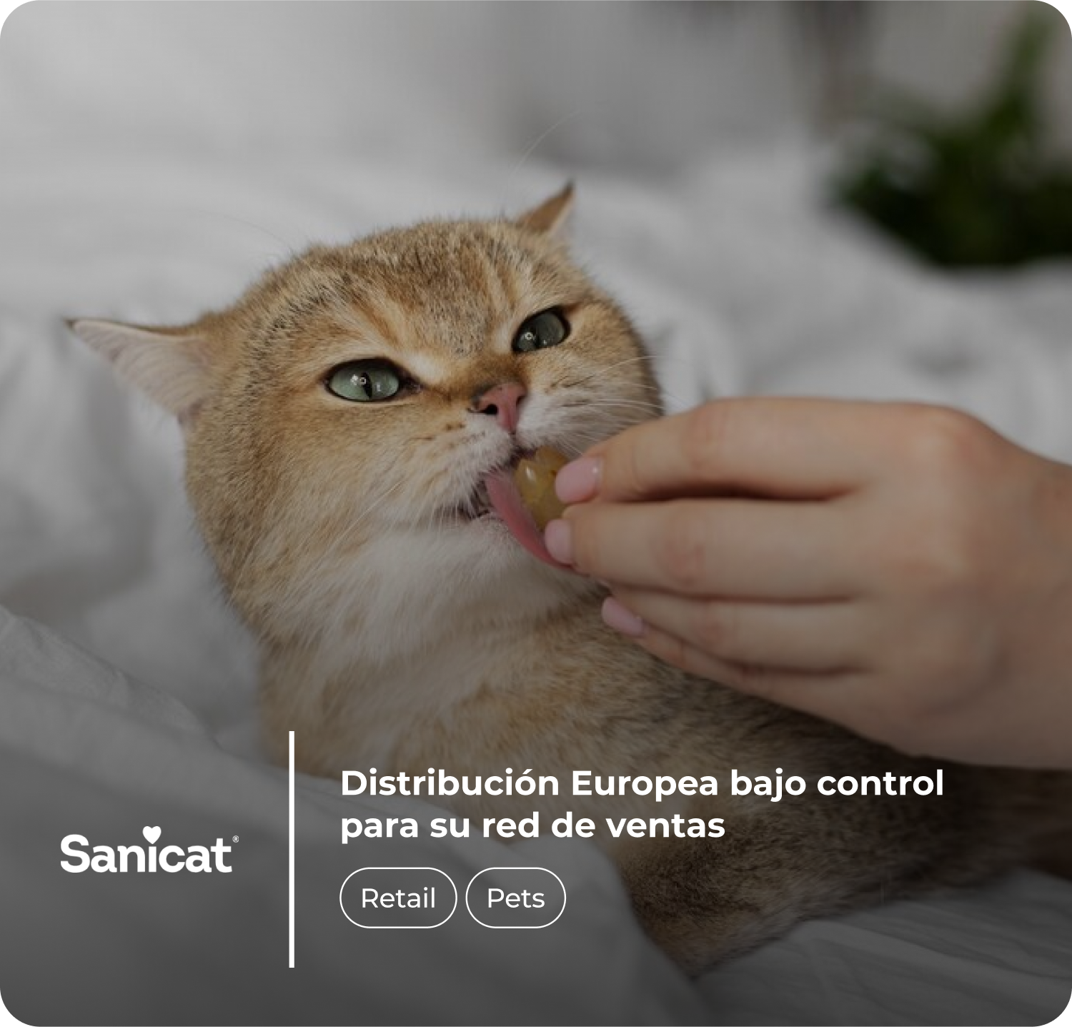 Flipflow - Case Study - Sanicat